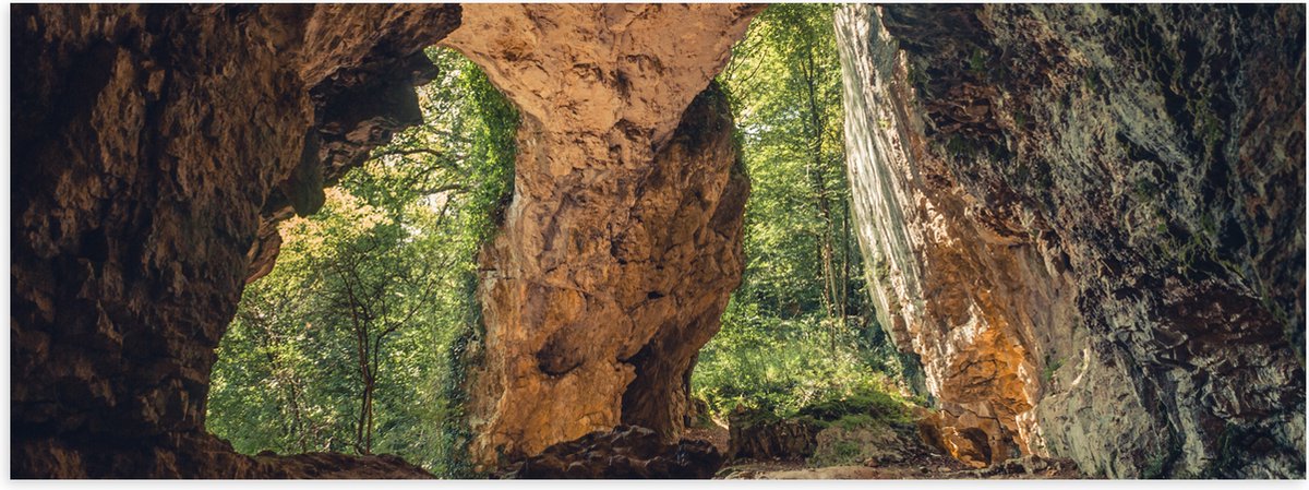 WallClassics - Poster (Matte) - Grande Grotte dans la Forêt - 60x20 cm ...