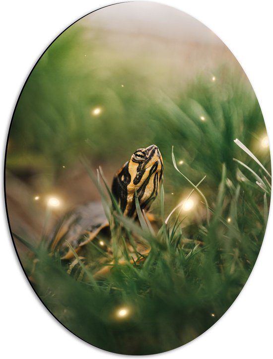 WallClassics - Dibond Ovaal - Zwart met Gele Slang tussen het Groene ...