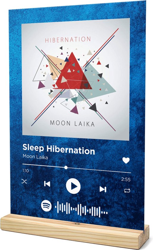 Songr Spotify Plaat - Sleep Hibernation - Moon Laika - 20x30 - Blauw ...