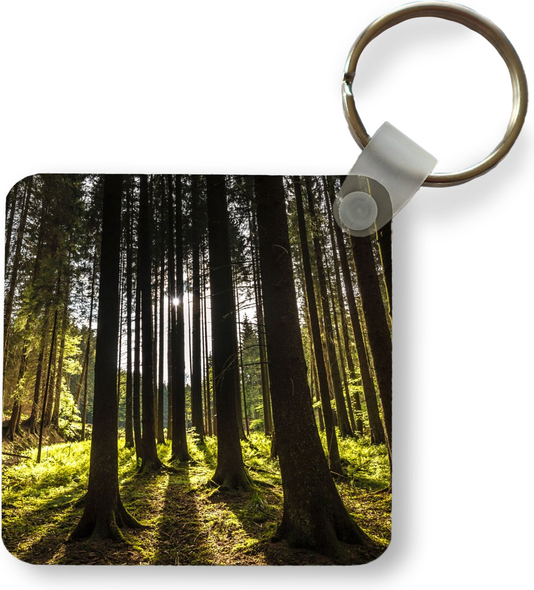 Sleutelhanger - Uitdeelcadeautjes - Boom - Natuur - Zon - Bos - Plastic ...