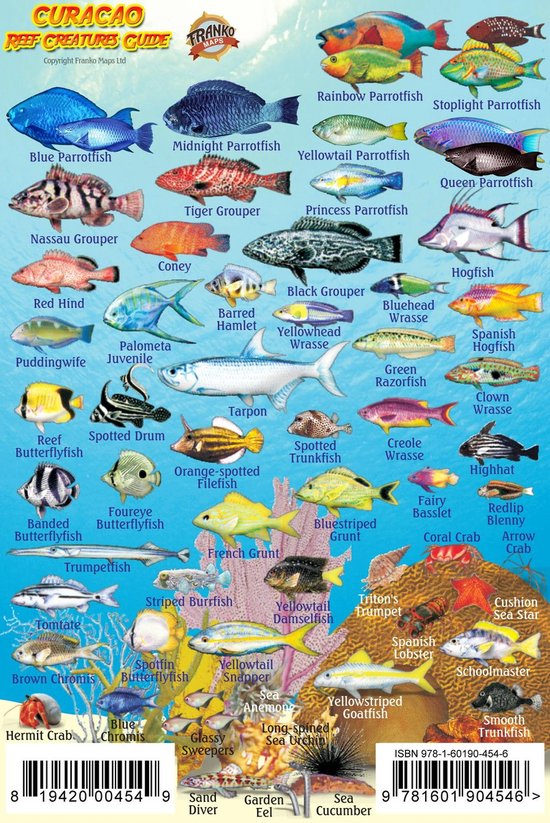 Franko Maps Curaçao Reef Creatures Guide (MiniCard), Michael Müller ...