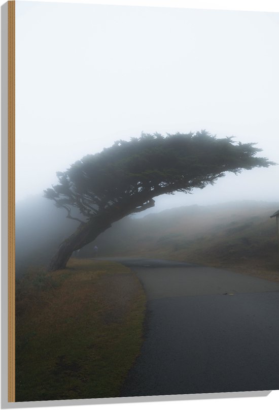 WallClassics - Hout - Boom hangend over Mistige Weg - 70x105 cm - 12 mm ...