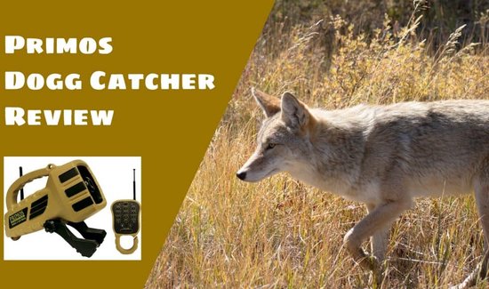 Primos Wolf Wolven Lokker | bol