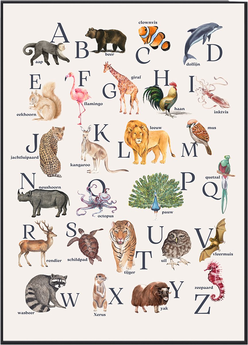 No Filter Dieren Alfabet Poster - 21x30 cm (A4 formaat) - Nederlands ...