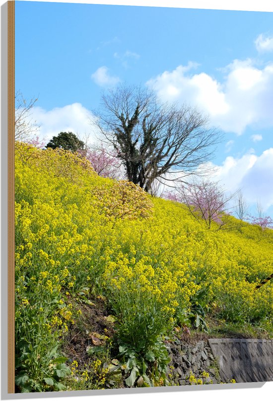 WallClassics - Hout - Begroeiing op Dijk met Boom - 70x105 cm - 12 mm ...