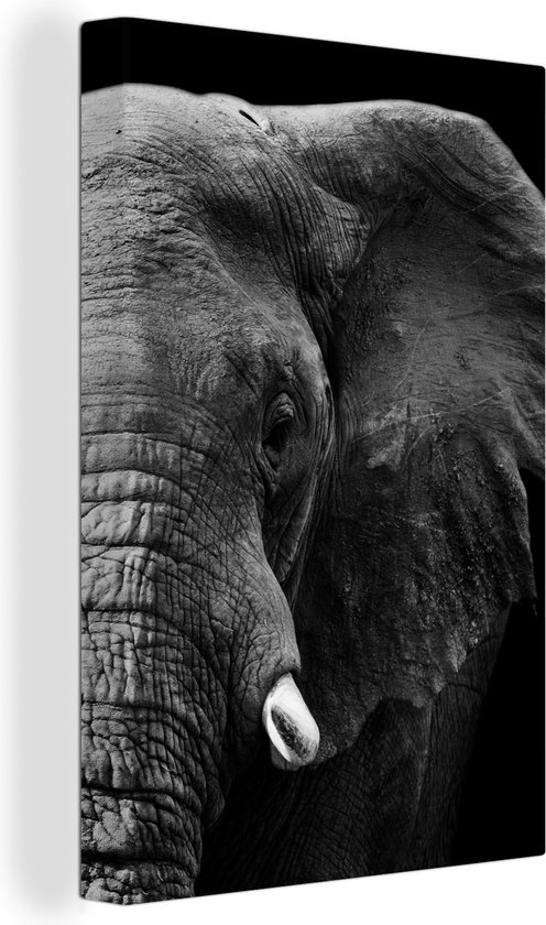Canvas schilderij - Wilde dieren - Olifant - Zwart - Wit ...