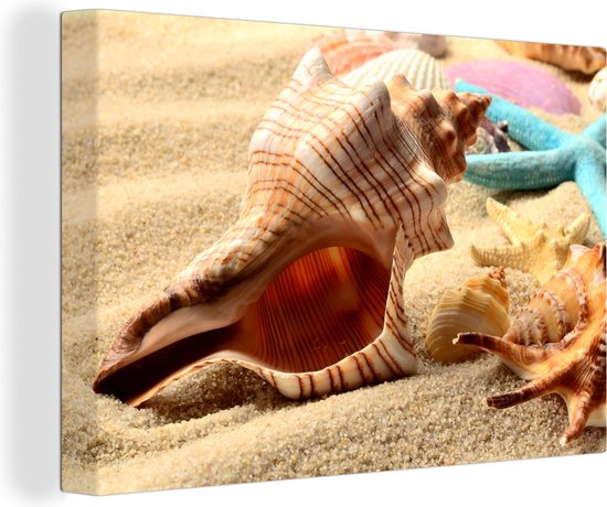 Canvas - Canvasdoek - Strand - Zee - Zeesterren - Schelpen ...