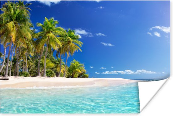 Poster Strand - Zee - Palmboom - Zon - Zomer - 90x60 cm | bol