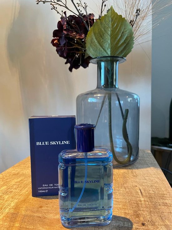 Eau de Toilette - Heren - Blue Skyline | bol.com