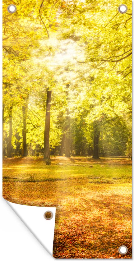 Wanddecoratie buiten Boom - Natuur - Zon - Landschap - Bos - 80x160 cm ...