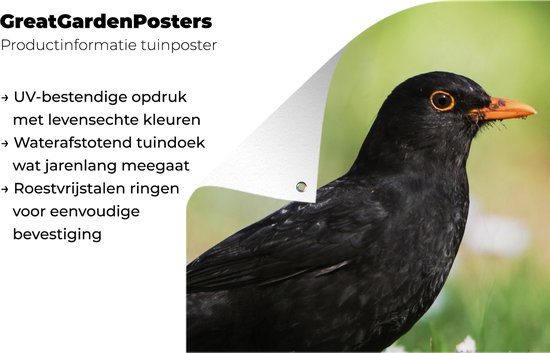 Décoration de Jardin Vogel - Merle - Fleurs - 30x40 cm - Toile de ...