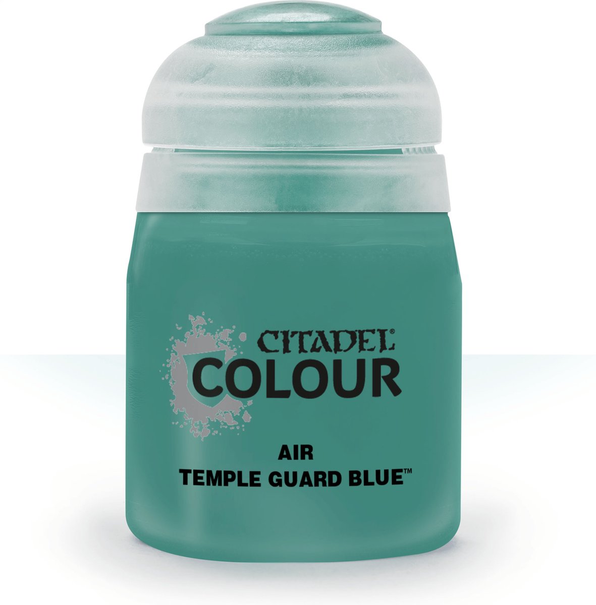 Temple Guard Blue - Air (Citadel) | bol.com