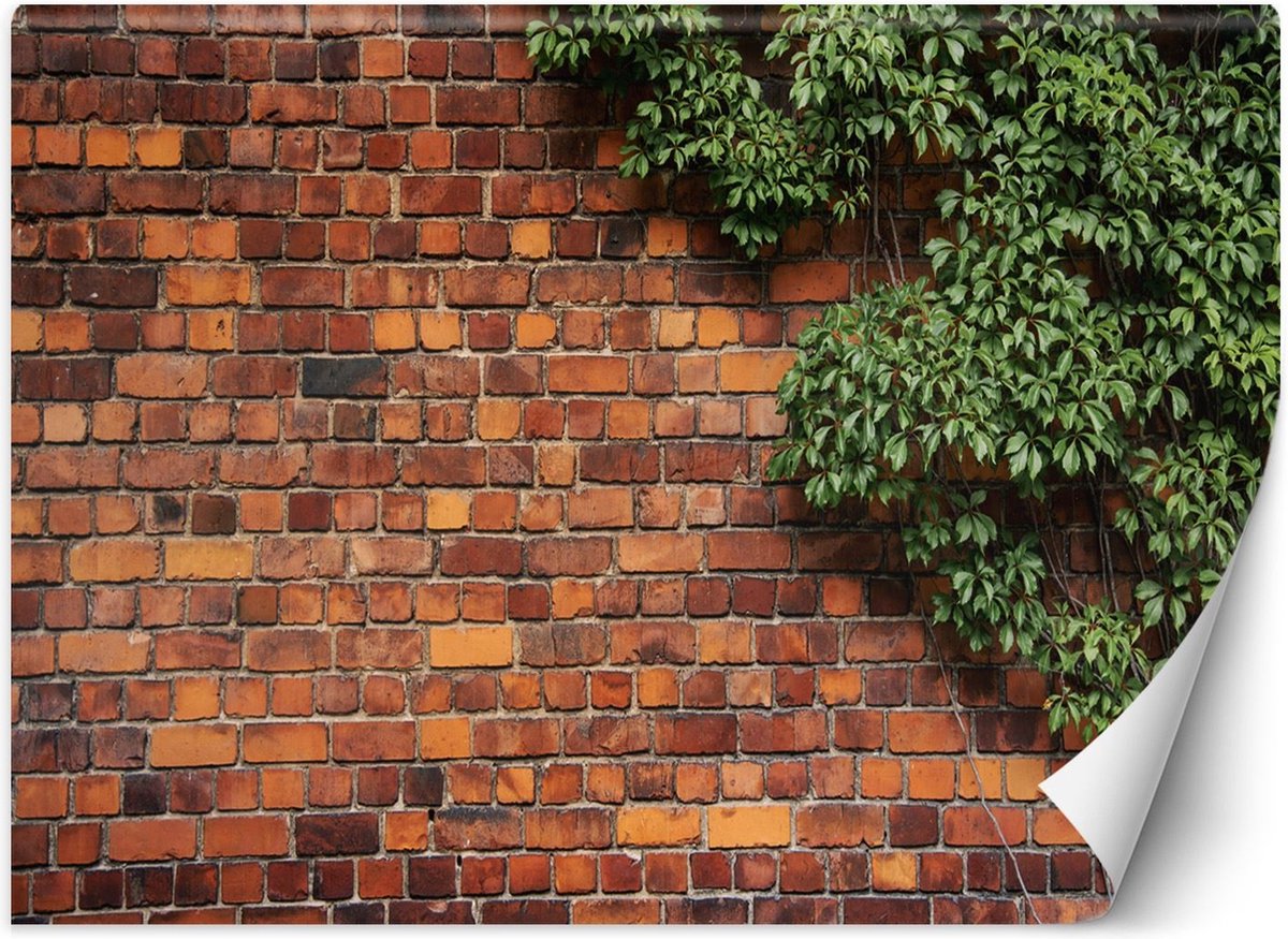 Trend24 - Behang - Bakstenen Muur Met Klimplant - Vliesbehang - Behang ...