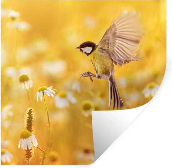 Muurstickers - Sticker Folie - Vogel - Koolmees - Bloemen - Margriet ...