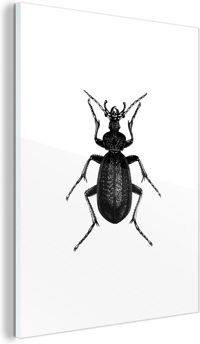 Peinture sur Verre - Zwart et Blanc - Scarabée - Vintage - Insectes ...