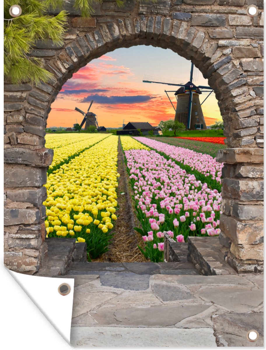 Affiche de jardin - Transparente - Tulipes - Moulin à vent - Pays ...