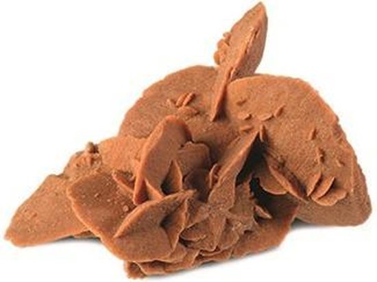 Woestijnroos ruw, Marokko (3.00) - bruin | bol.com