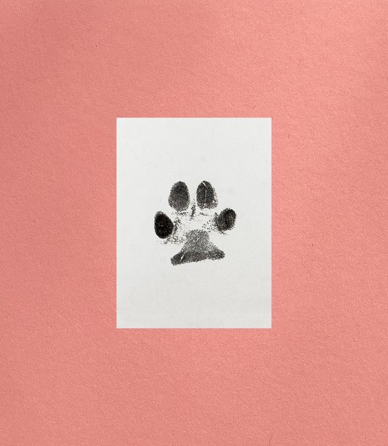 Pootafdruk Stempel S - Honden pootafdruk maken - Veilig voor dieren ...