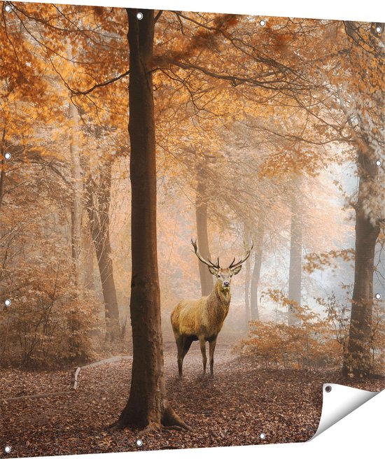 Gards Tuinposter Hert in het Bos - Herfst - 120x120 cm - Tuindoek ...