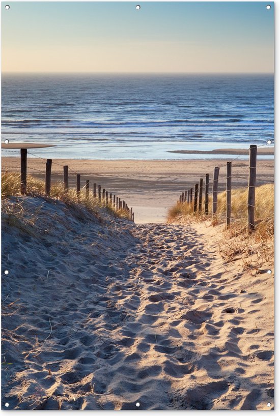 Tuinposter strand en duinen - Strand - Nederland - Planten - Natuur - Zee - Tuindoek -... | bol.com