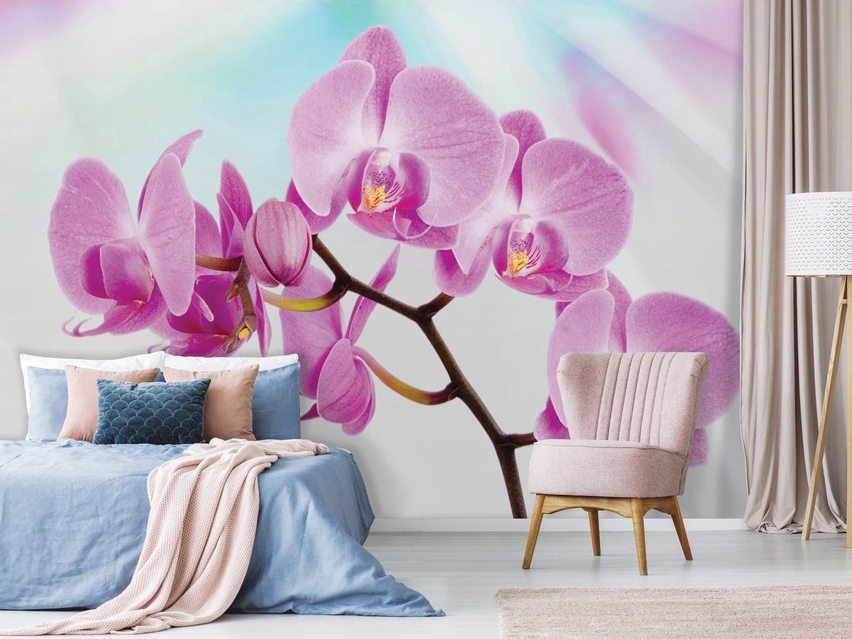 Fotobehang - Vlies Behang - Orchidee - Bloem - 312 x 219 cm | bol.com
