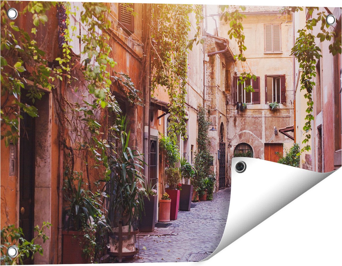 Gards Affiche de jardin Forêt verte transparente avec rayons de soleil ...