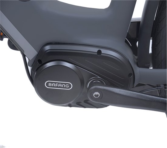 Avalon E-motive - Fiets (elektrisch) | bol