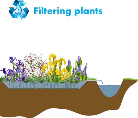 VDVELDE - Helofytenfilter Mix - Voor ca. 10 m² - 168 losse ...