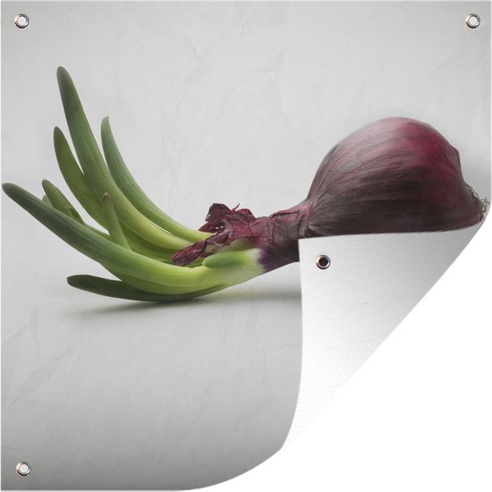 Tuindoek Groene stengel ontspringt uit de bloeiende rode ui - 100x100 ...