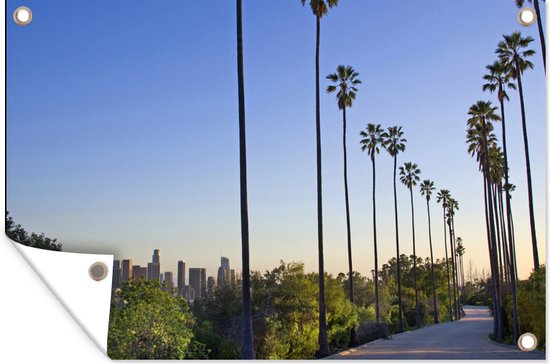 Tuindecoratie De rijen met hoge palmbomen langs de weg in Los Angeles ...