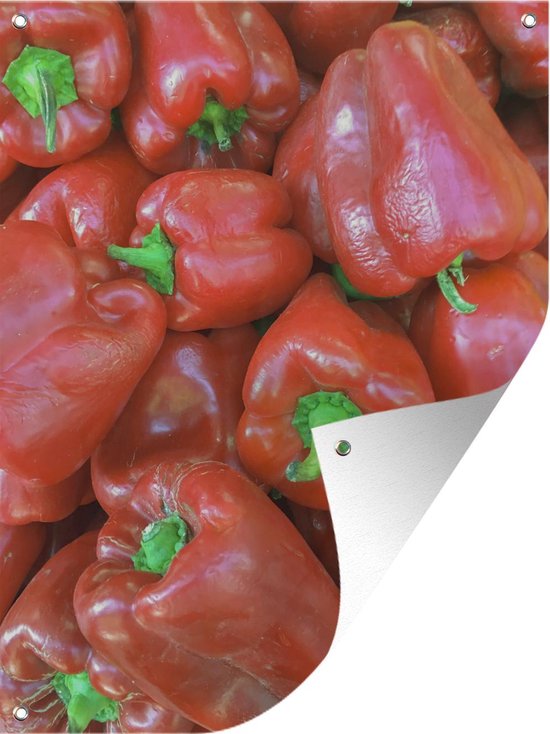 Tuin decoratie Een glimmende stapel rode paprika's - 30x40 cm ...