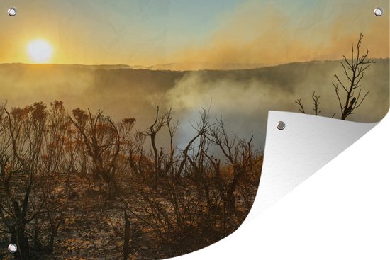 Tuinposter - Tuindoek - Tuinposters buiten - Boom - Brand - Rook ...