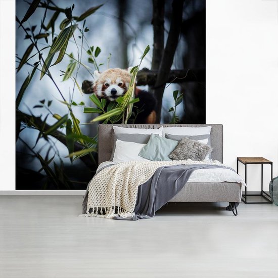 Behang - Fotobehang Panda - Planten - Takken - Breedte 240 cm x hoogte ...