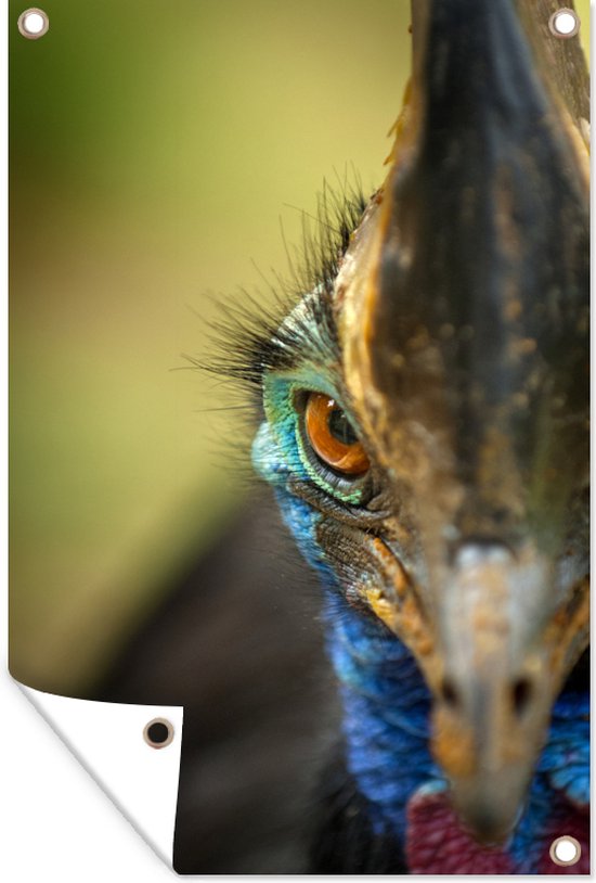 Tuinposter - Tuindoek - Tuinposters buiten - Close-up van het gezicht ...