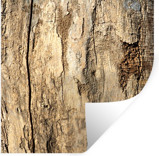 Muurstickers - Sticker Folie - Boomschors - Hout - Design - Vintage ...