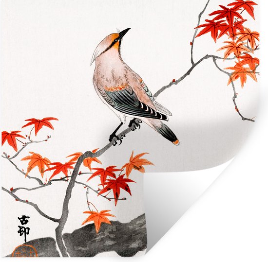 Muurstickers - Sticker Folie - Vintage - Vogel - Boom - Japanse esdoorn ...