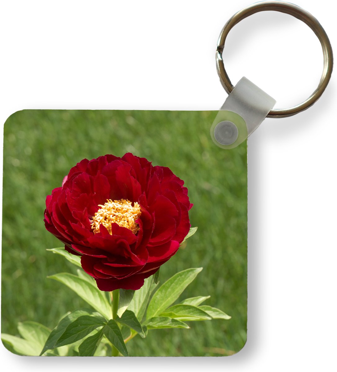 Sleutelhanger - Uitdeelcadeautjes - Een rode pioenroos in het gras ...