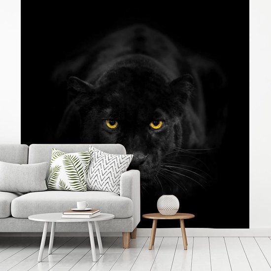 Behang - Fotobehang Panter - Zwart - Geel - Breedte 280 cm x hoogte 280 ...
