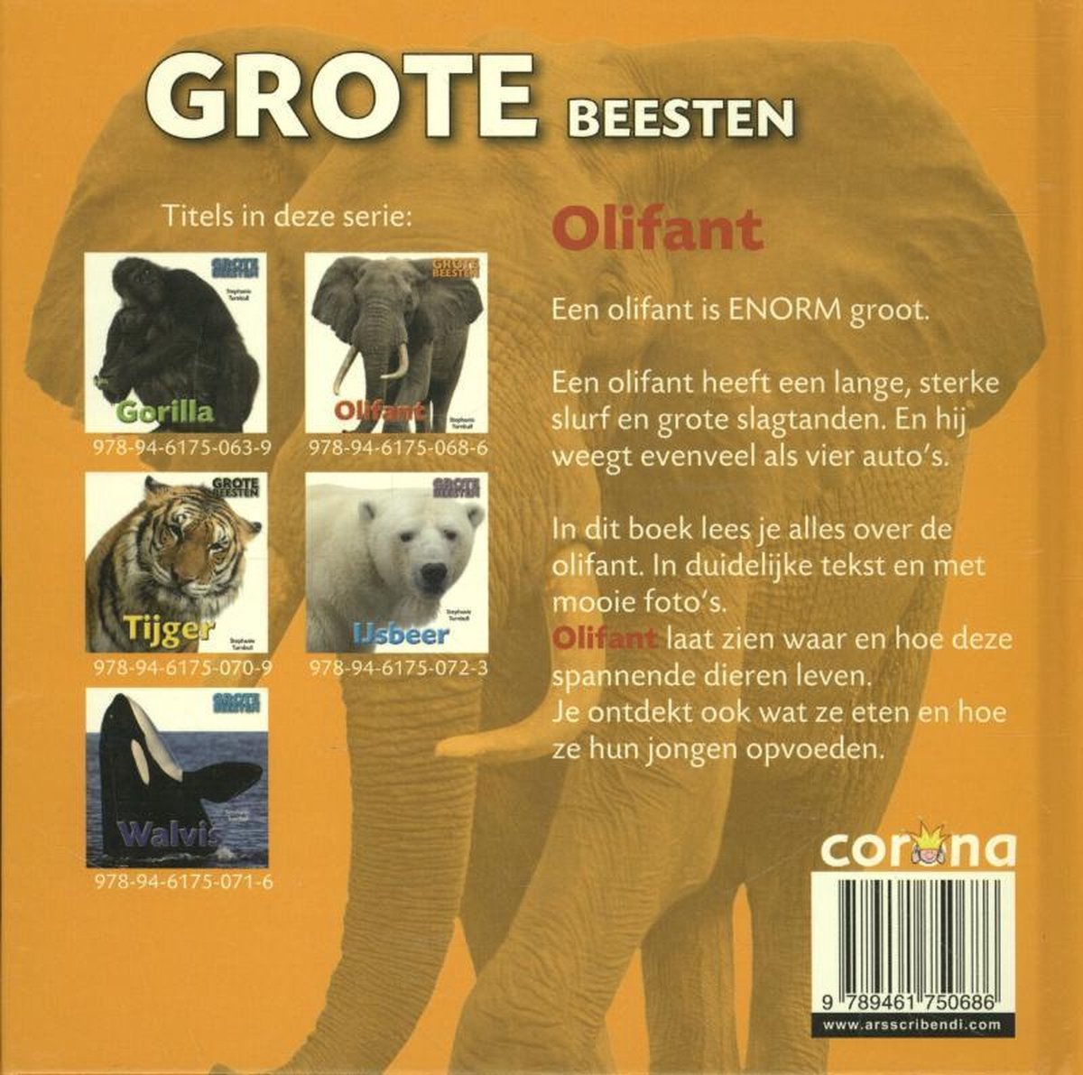 Grote Beesten - Olifant | 9789461750686 | Stephanie Turnbull | Boeken ...