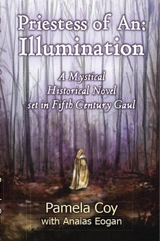 Priestess of An: Illumination (ebook), Pamela Coy | 9781393170020 ...