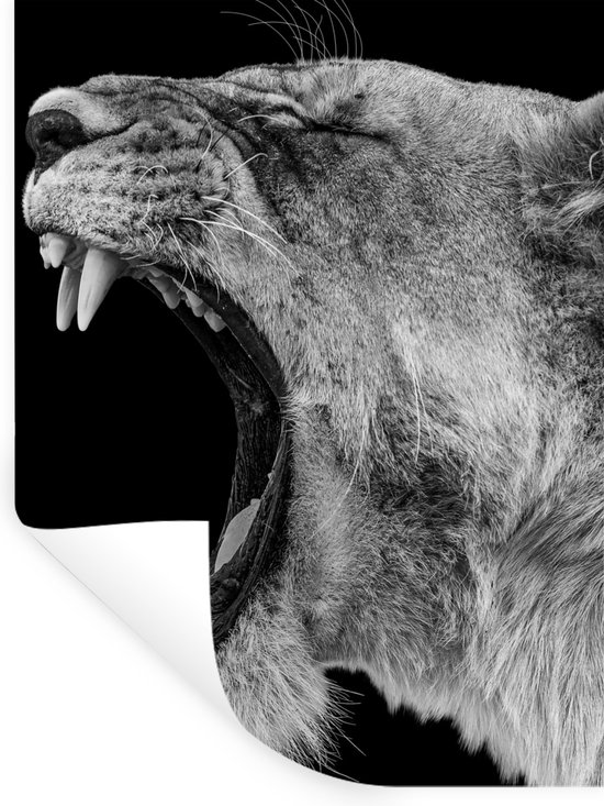 Muurstickers - Sticker Folie - Dieren - Leeuw - Zwart - Wit - Portret - 30x40 cm -... | bol
