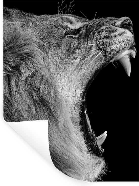 Muurstickers - Sticker Folie - Dieren - Leeuw - Zwart - Wit - Portret - 30x40 cm -... | bol.com