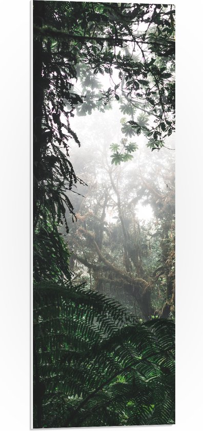 WallClassics - PVC Schuimplaat - Begroeiing in Regenwoud - 30x90 cm ...