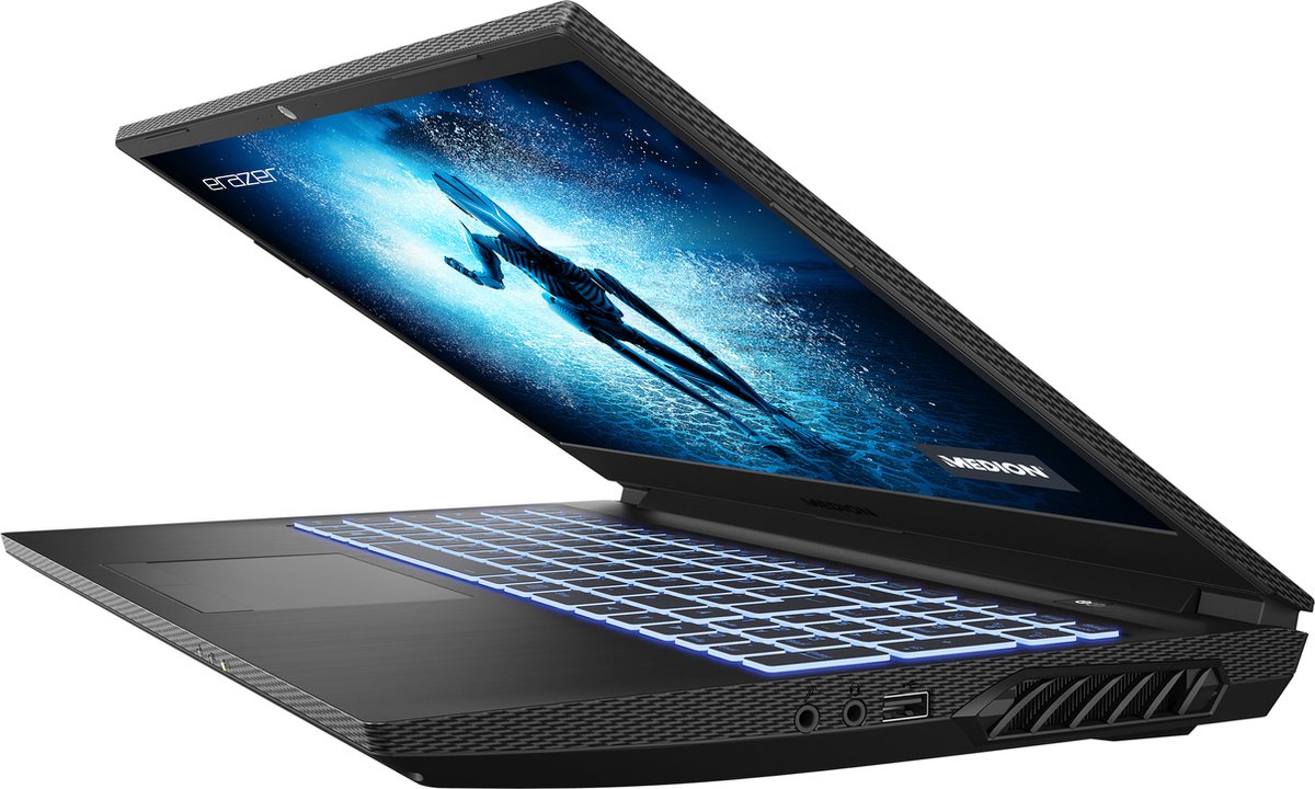 Medion Erazer Deputy P25 - Gaming laptop - Windows 11 Home - 15.6 inch ...