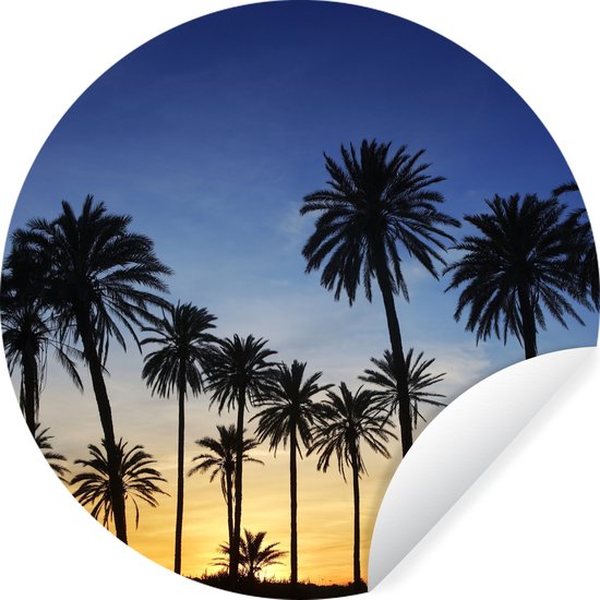 WallCircle - Behangcirkel - Palmboom - Zon - Strand - Zelfklevend behang - Cirkel... | bol