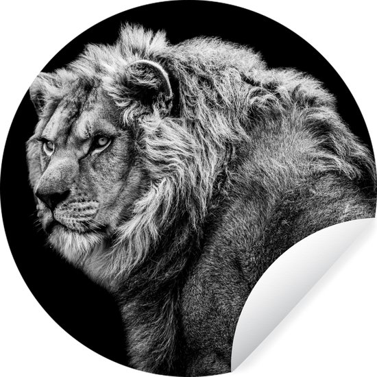 Behangcirkel - Zelfklevend behang - Wilde dieren - Leeuw - Zwart - Wit - 100x100 cm -... | bol