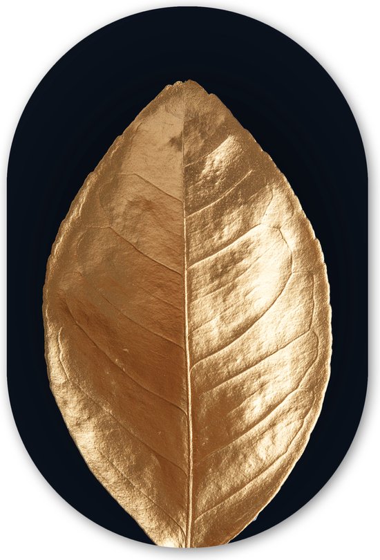 Muurovaal - Kunststof Wanddecoratie - Ovalen Schilderij - Zwart - Goud ...
