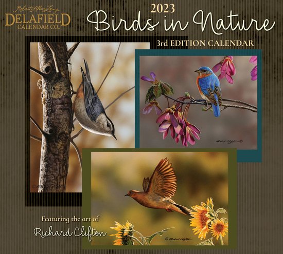 Birds in Nature Kalender 2023 | bol