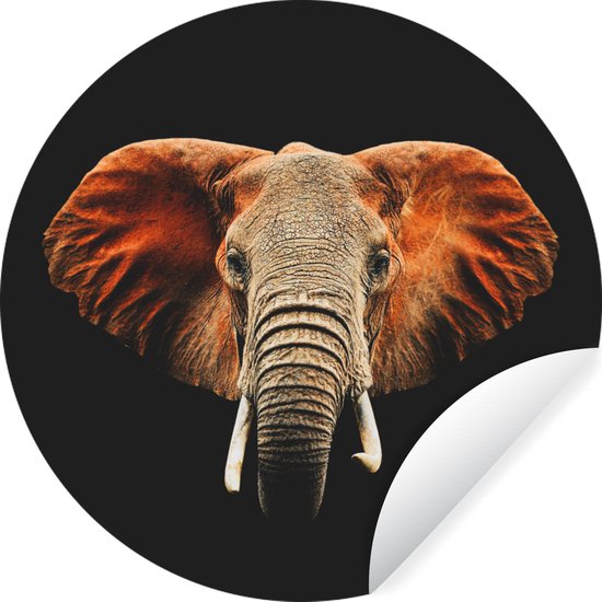 WallCircle - Muurstickers - Behangcirkel - Olifant - Dieren - Kleuren - 100x100 cm -... | bol