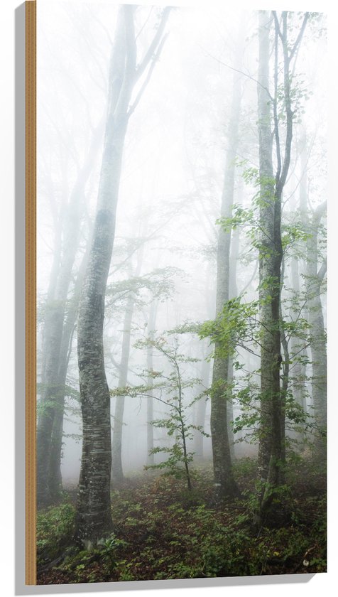 WallClassics - Hout - Kale Bomen in de Mist - 50x100 cm - 12 mm dik ...